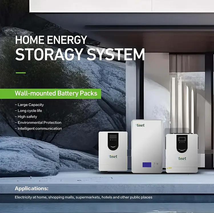 Home Energy Storage System - High Capacity Wall Batteries - Thomsen power